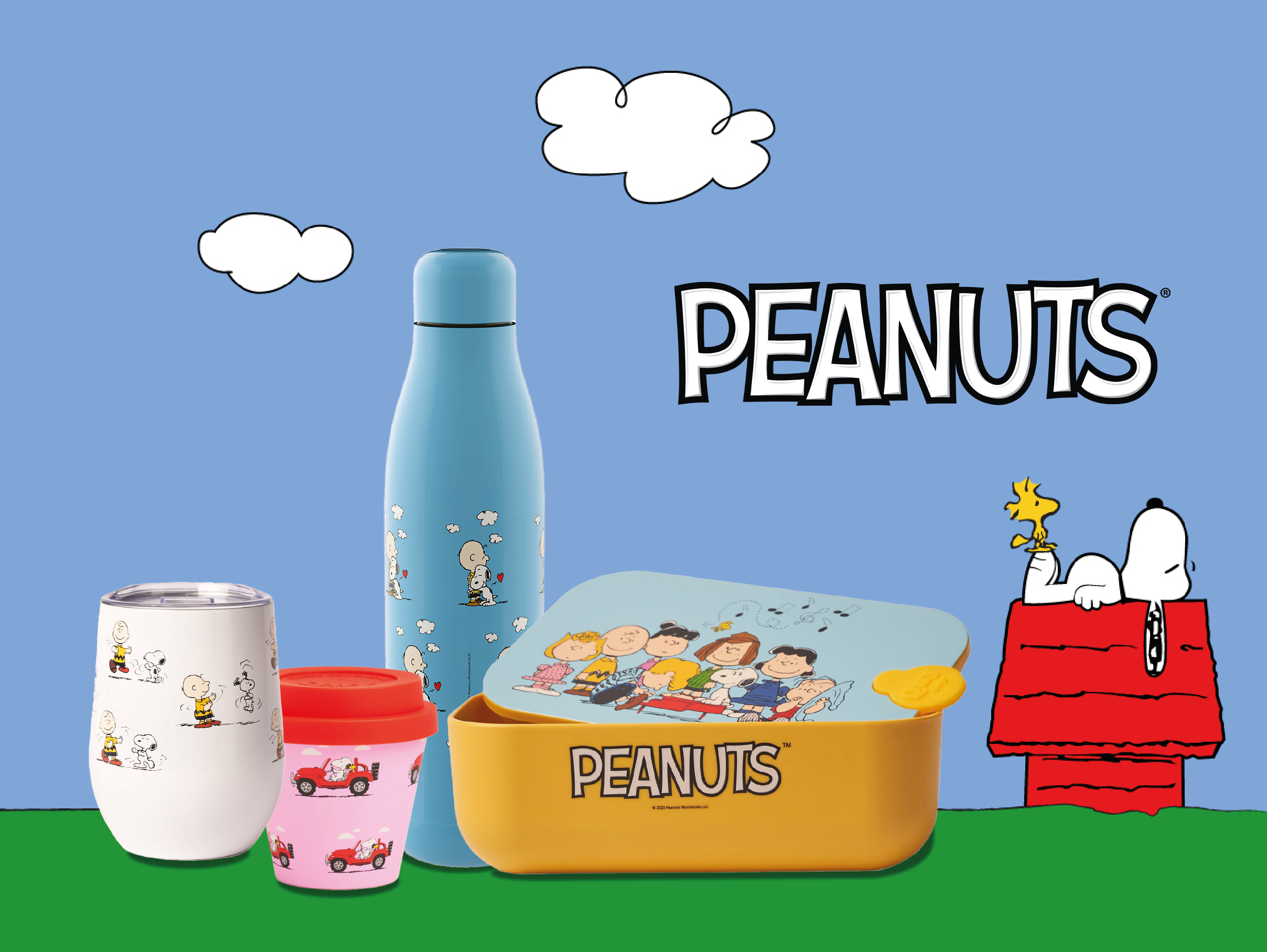PEANUTS – Quycup_shop